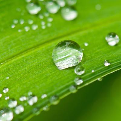 Green grass water drop - KDE Store