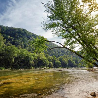 Forest Mountains River - KDE Store