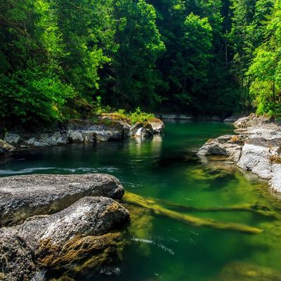 Spring green forest river - KDE Store