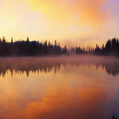 The vast twilight - KDE Store