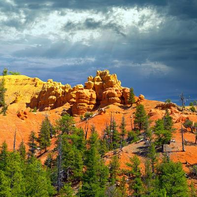 America West Highlands Forest Park - KDE Store