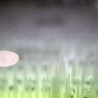 Sharp wallpaper - KDE Store