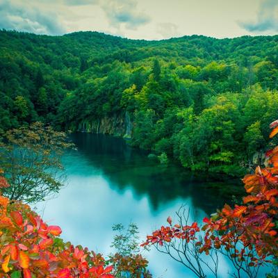 Amazing Waterfall Through Forest Hd Wallpaper - KDE Store