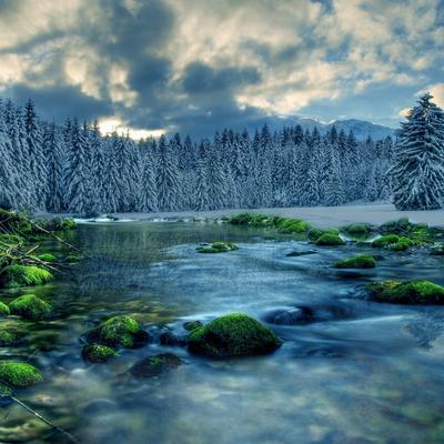 Winter River Rocks Moss Trees Landscape - KDE Store