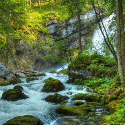 Wallpaper Forest Waterfal River Rocks Landscape - KDE Store