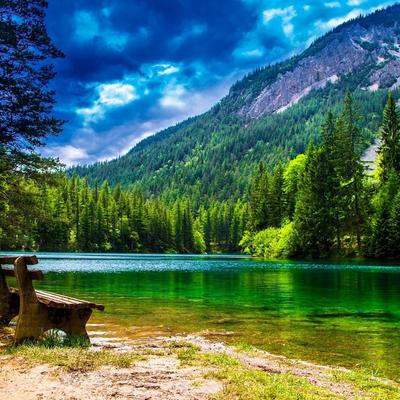 Wonderful Mountain Landscape With Green Pine Forest Green - KDE Store