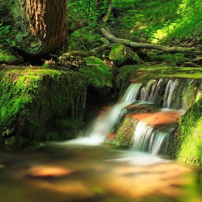 Nature Forest Waterfall - KDE Store