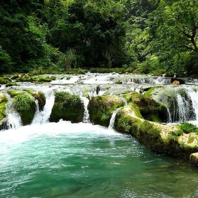 Summer rainforest river waterfall moss - KDE Store