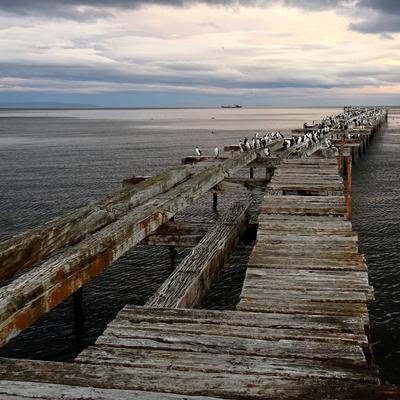 Broken Ocean Bird Rest Pier - KDE Store
