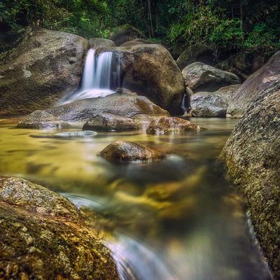 Spring Jungle Stream River - KDE Store