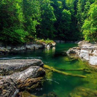 Spring_green_forest_river - KDE Store
