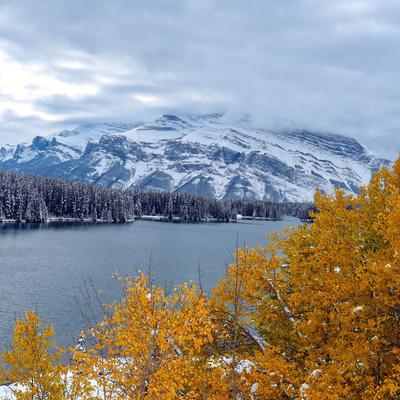 winter forest river - KDE Store