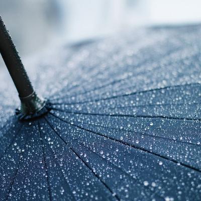 Summer raindrops close up - KDE Store