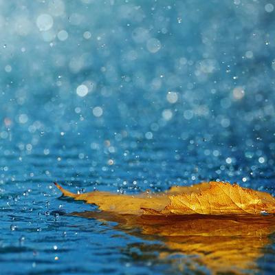 Summer raindrops - KDE Store