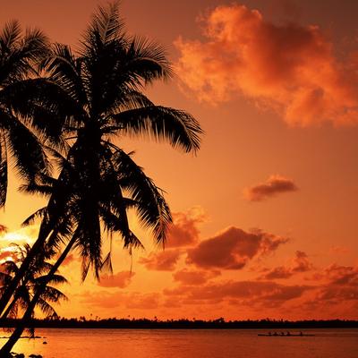 red sunset beach under palm trees - KDE Store