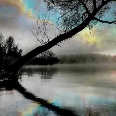 Lake and trees - KDE Store