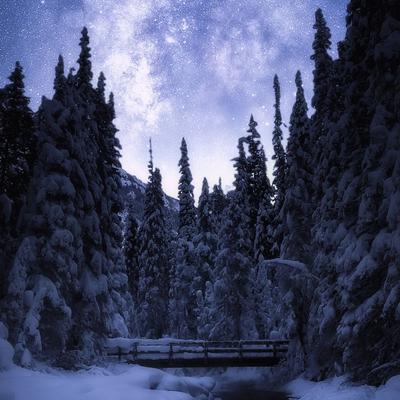 snowy tree - KDE Store