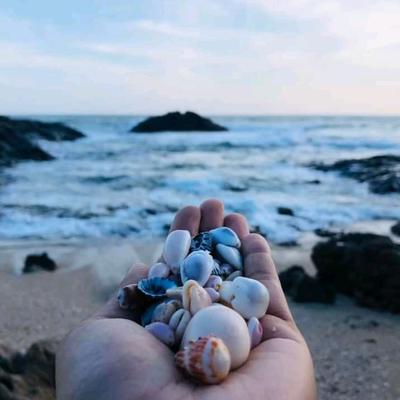 BEACH IN GALL SRI LANKA - KDE Store