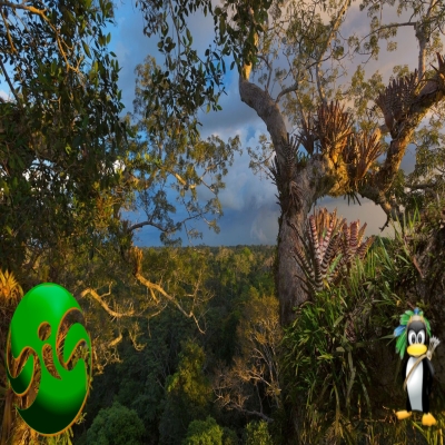 Papel de Parede para Big Linux - KDE Store