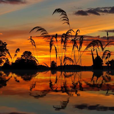 Nature Lake Water Reeds Sunset Ired Sky Reflection Photo - KDE Store