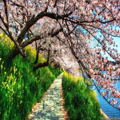 Beautiful Spring Nature Landscape - KDE Store