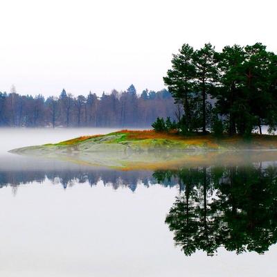 lake morning fog trees island-Photo Wallpaper - KDE Store