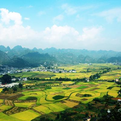 Guizhou Jinqiu Wanfeng Forest Rice Field - KDE Store