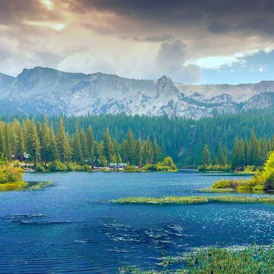 Spring forest tree lake mountain range - KDE Store