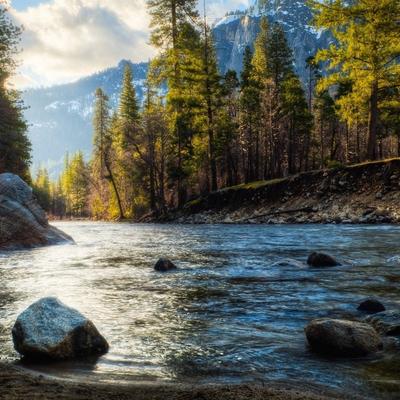 rocky river shore forest - KDE Store