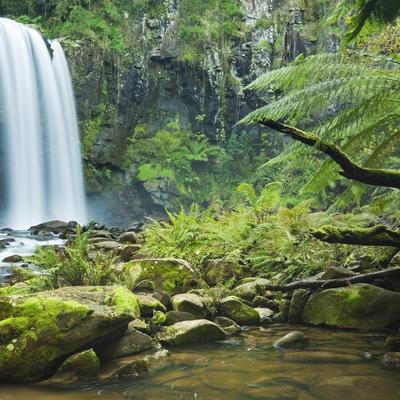 Forest Waterfalls - KDE Store