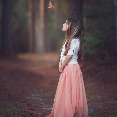 in the forest - KDE Store