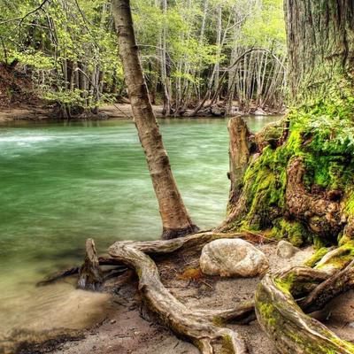 fast river in the forest - KDE Store