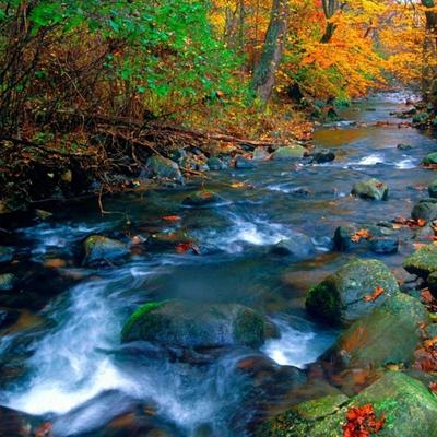 Amazing Waterfall Through Forest Hd Wallpaper - KDE Store