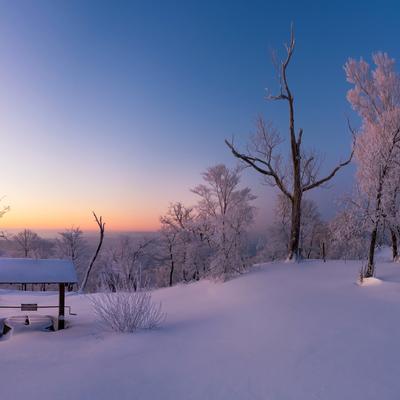 Winter Jungle Sunrise - KDE Store