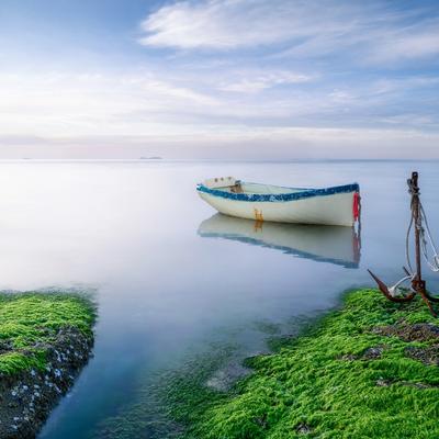Lone boat Lakeshore Moss - KDE Store