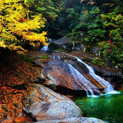 Autumn Forest Waterfall Rock - KDE Store