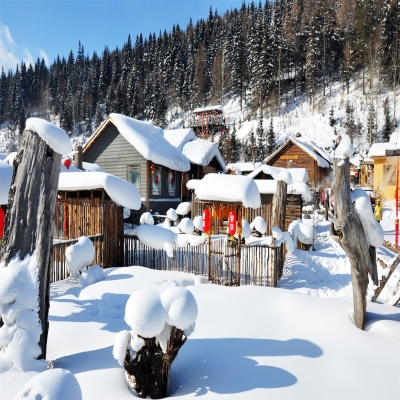 Sunny winter jungle village snow - KDE Store