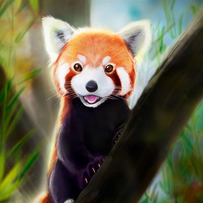 Red Panda - KDE Store