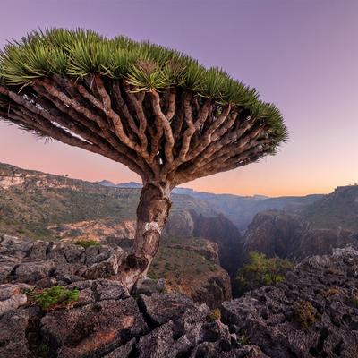 Earth Nature Scenery 2022 Picks 5K Best Photograph.. - KDE Store