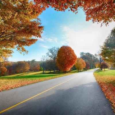 Late autumn road-Natural landscape - KDE Store
