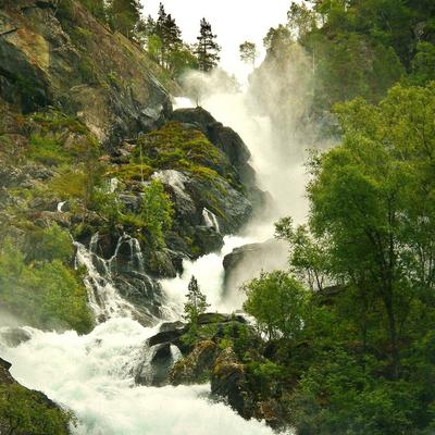 Cool Forest Waterfall-Natural - KDE Store