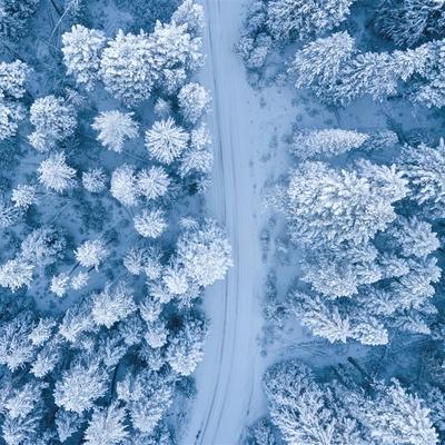 Road Snowy Forest Trees Winter High Quality - KDE Store