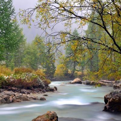 River mountain trees stream Summer - KDE Store
