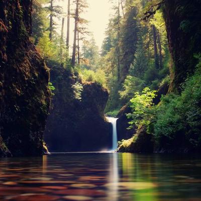 Forest Waterfall Natural scenery - KDE Store