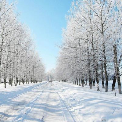 Snowy road winter scenery - KDE Store