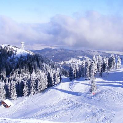 Ski slope winter scenery - KDE Store