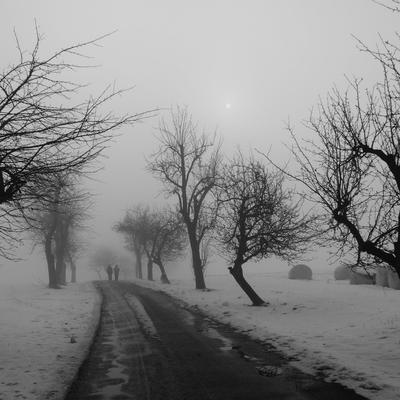 Winter road black and white Winter snow - KDE Store