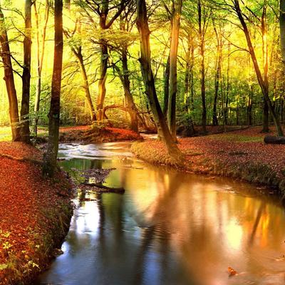 Impressive autumn landscape - KDE Store