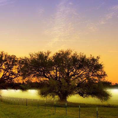 Morning Tranquility - KDE Store