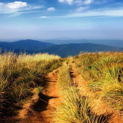 Hiking Path - KDE Store